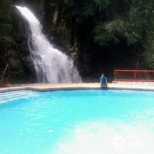 Homepage - The Daily Roar