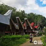 Tana Toraja, Land of the Festival of Dead - The Daily Roar