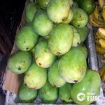 Philippines’ National Fruit - The Daily Roar
