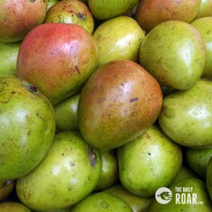 Philippines’ National Fruit - The Daily Roar