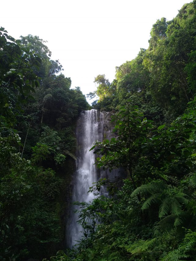 The ultimate guide to Java heart of an island nation - The Daily Roar