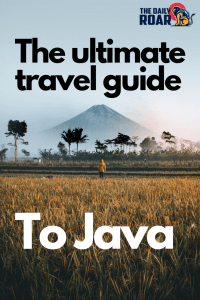 The ultimate guide to Java heart of an island nation - The Daily Roar