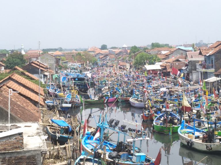 The ultimate guide to Java heart of an island nation - The Daily Roar